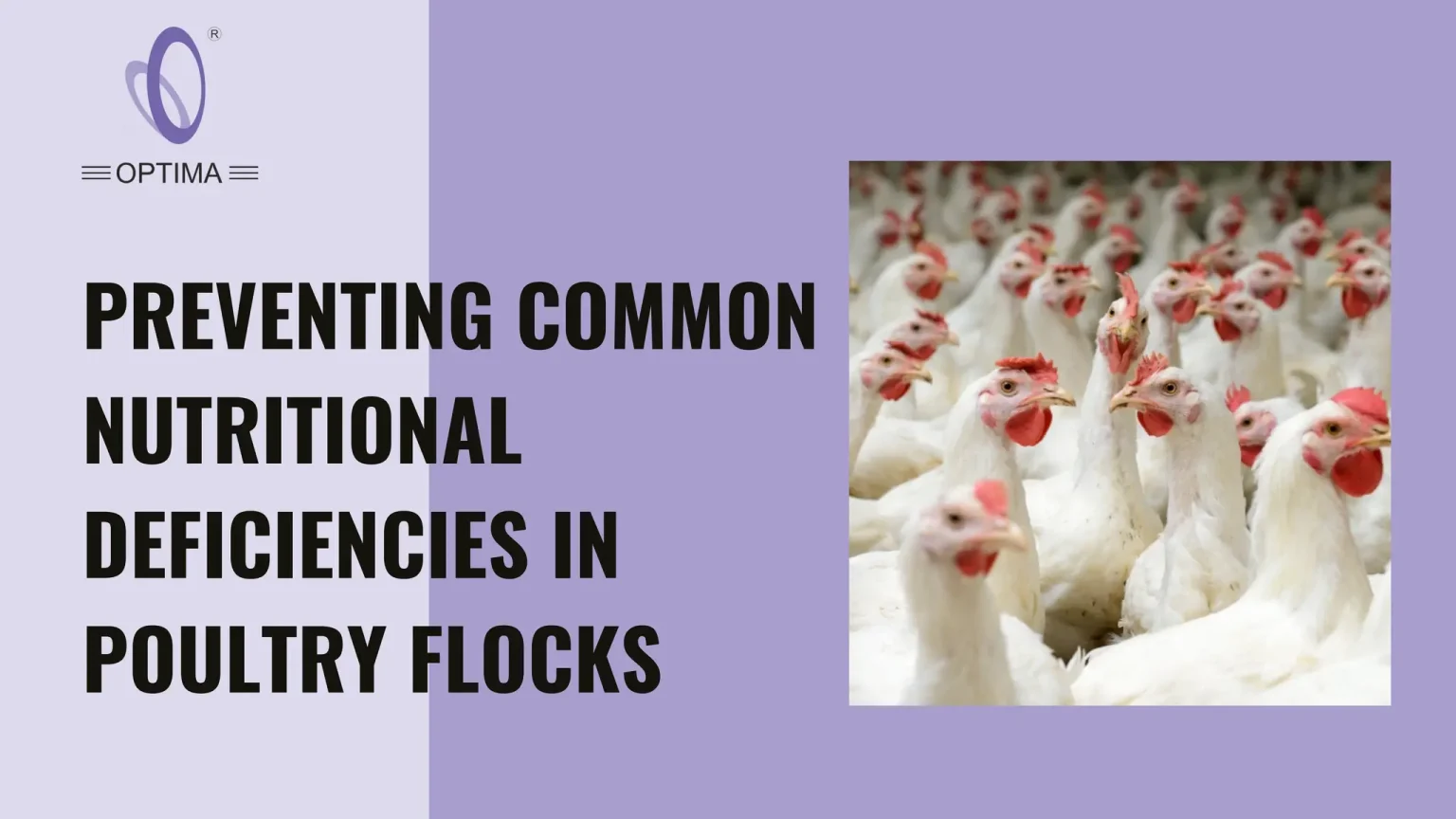 Preventing Nutritional Deficiencies: Ensuring Balanced Diets for ...